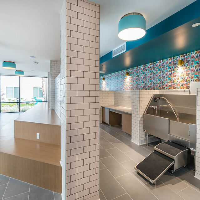 Welcome to Our Apartments for Rent in Fremont | Embark